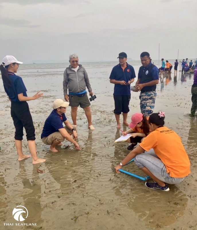 Thai Seaplane Leads the Way in Marine Conservation - THAI SEAPLANE